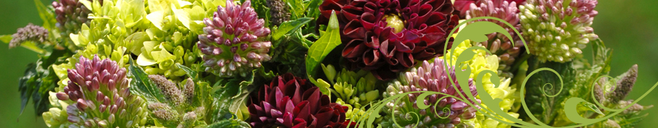 Contact Us - The Vermont Association of Wedding Professionals The ...